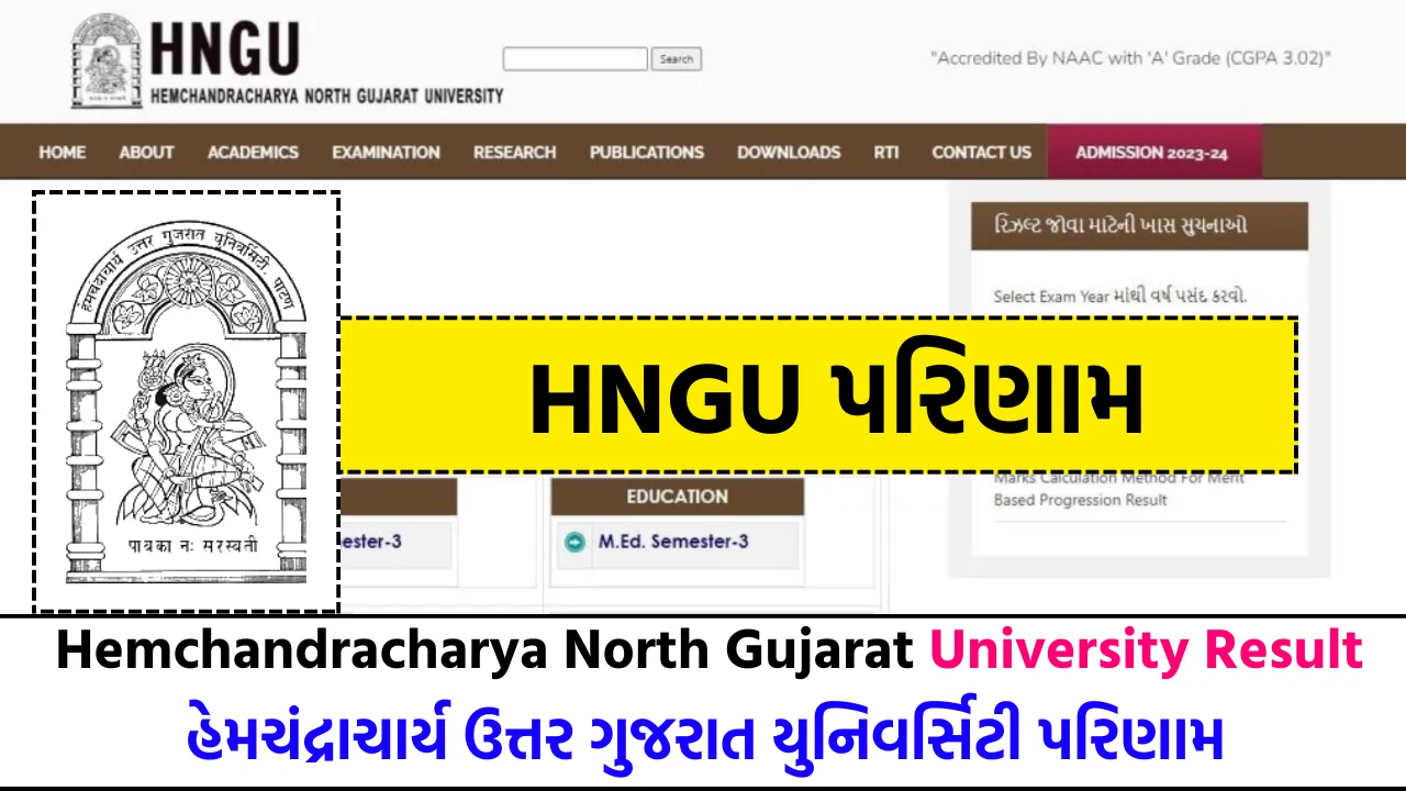 HNGU Result 2024 OUT at ngu.ac.in: HNGU પરિણામ UG અને PG માર્કશીટ ...